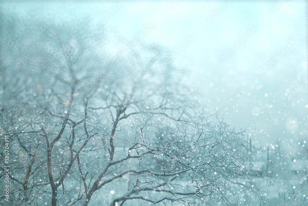 Winter forest blurred background snow landscape Stock Photo | Adobe Stock