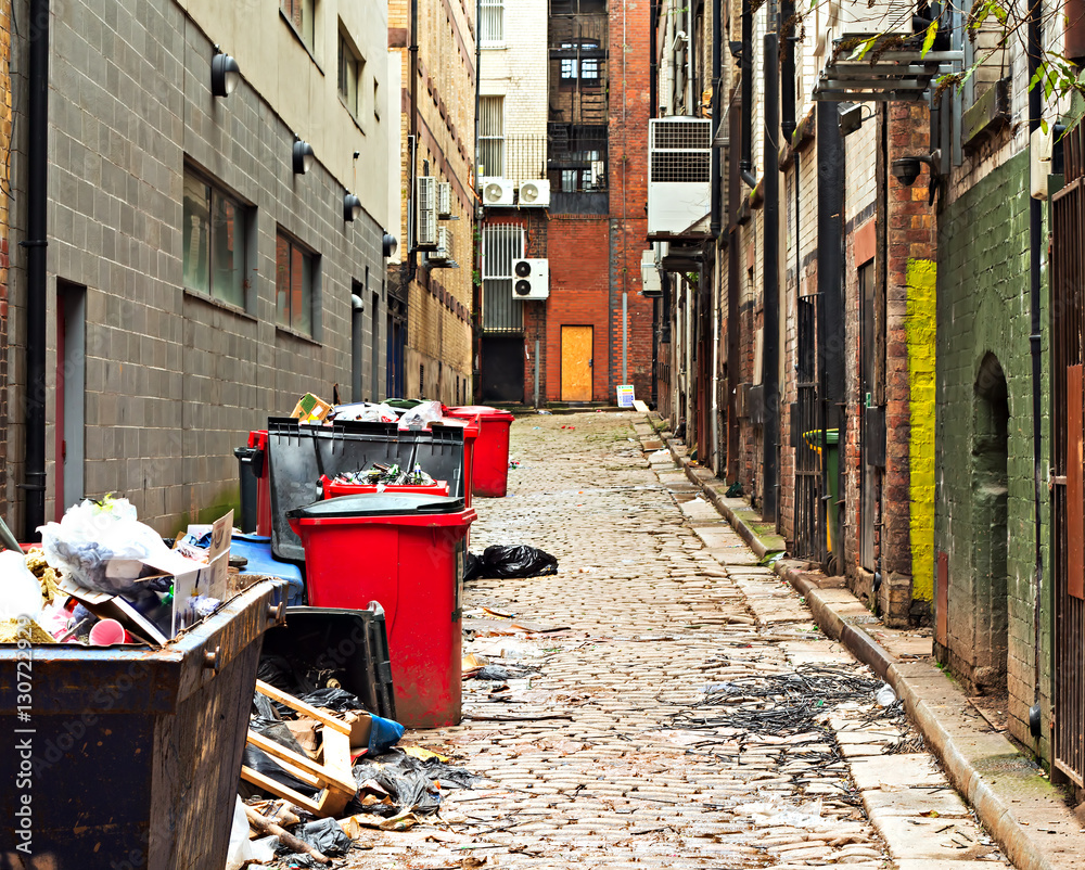 Looking down an inner city alleyway full of garbage and wheelie bins ...