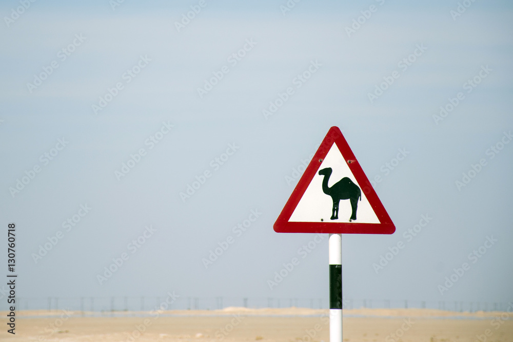 Camel warning sign desert highway in dhofar salalah Oman Middle East 2 ...