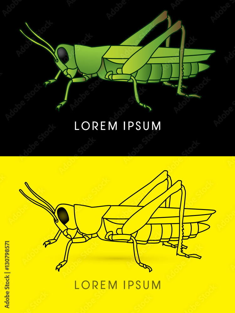 Grasshopper side view graphic vector. Stock Vector | Adobe Stock