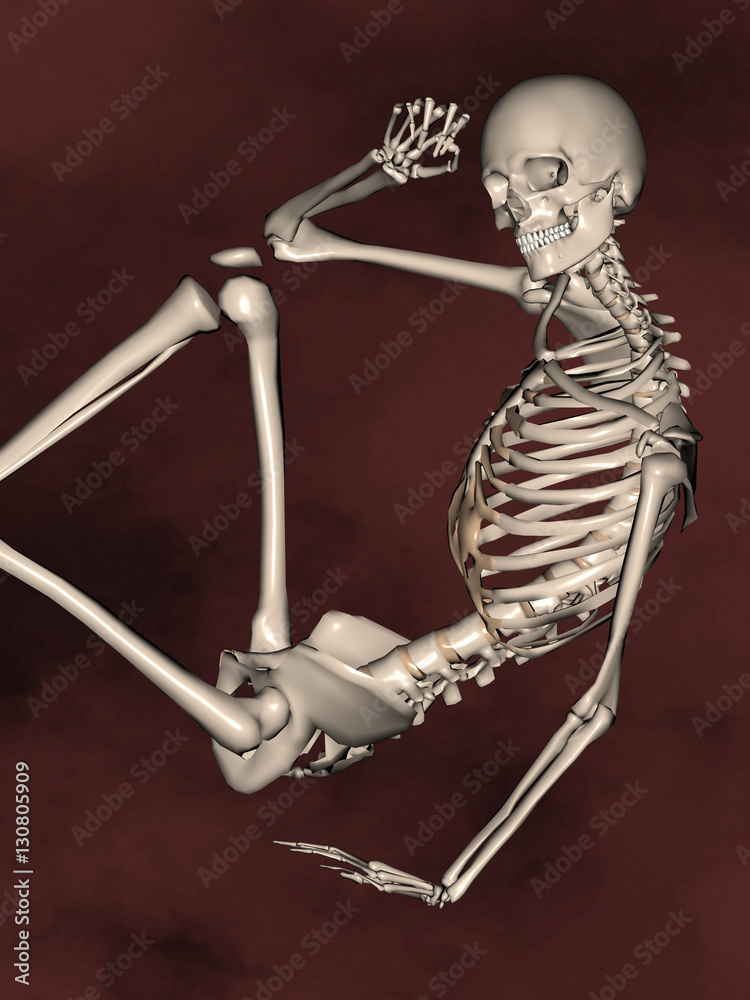 Human skeleton M-SK-POSE G-08-1, 3D Model Stock Illustration | Adobe Stock
