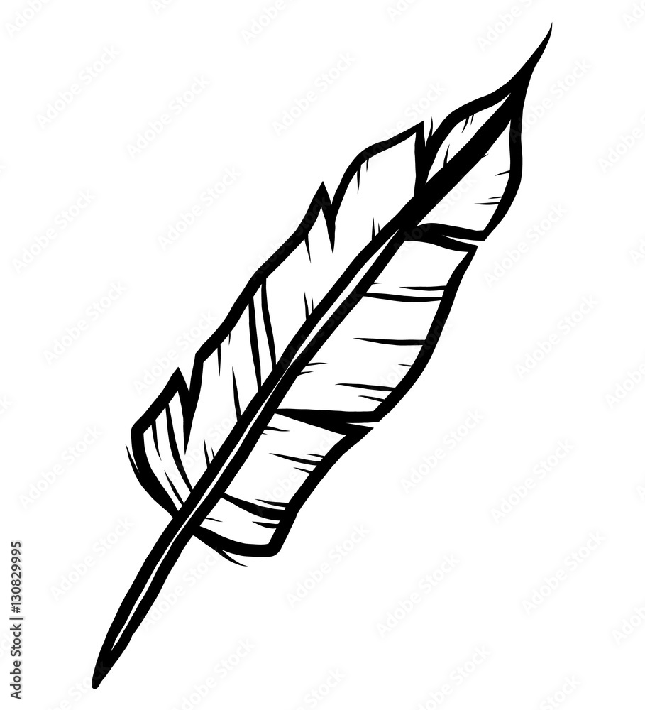 feather / cartoon vector and illustration, black and white, hand drawn ...
