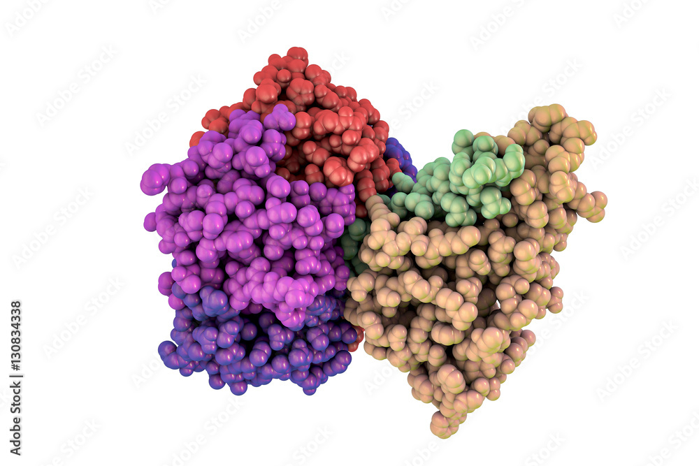 Molecular model of cholera toxin choleragen isolated on white ...