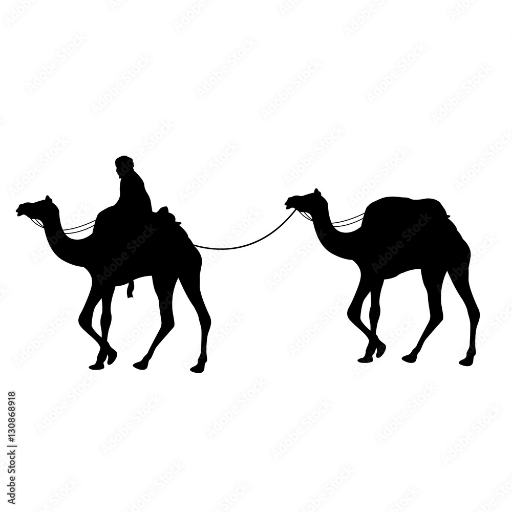 Camel Caravan Vector
