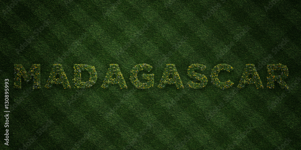 MADAGASCAR - fresh Grass letters with flowers and dandelions - 3D ...
