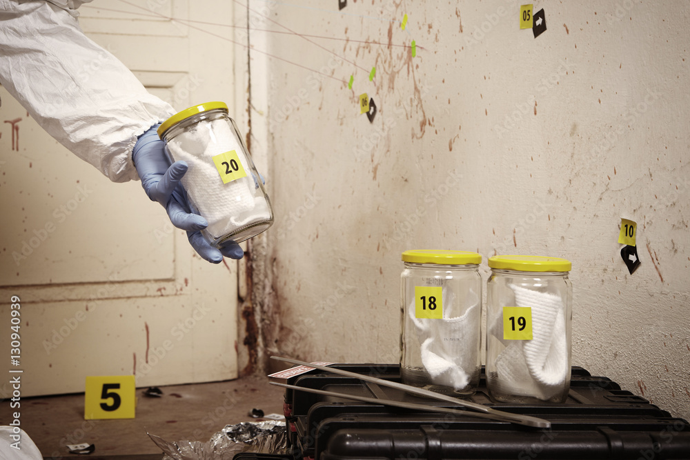 Crime scene investigation - working on odor traces by criminologist ...