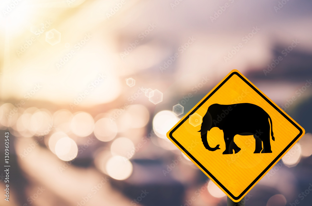 Elephant warning sign on blur traffic road with colorful bokeh light ...