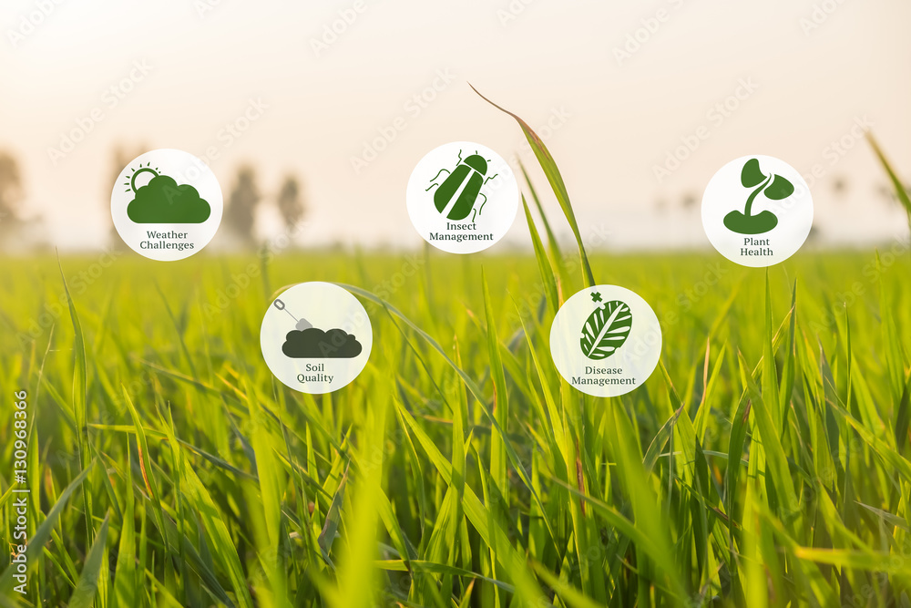 Precision Agriculture and Agritech concept. Precision agriculture ...