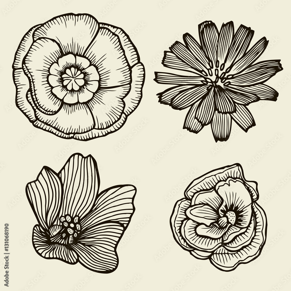 Hand drawn sketch flower Stock Vector | Adobe Stock