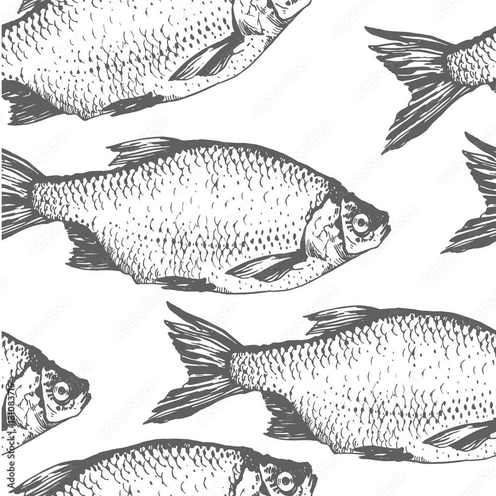 Vector illustration with sketches of rudd fish. Hand-drawn seamless ...