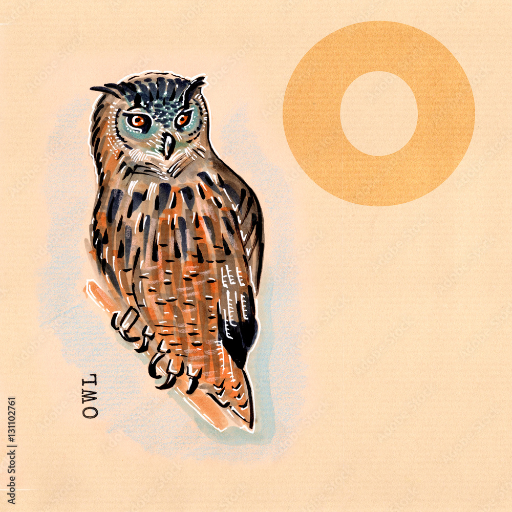 English alphabet , Owl Stock Illustration | Adobe Stock