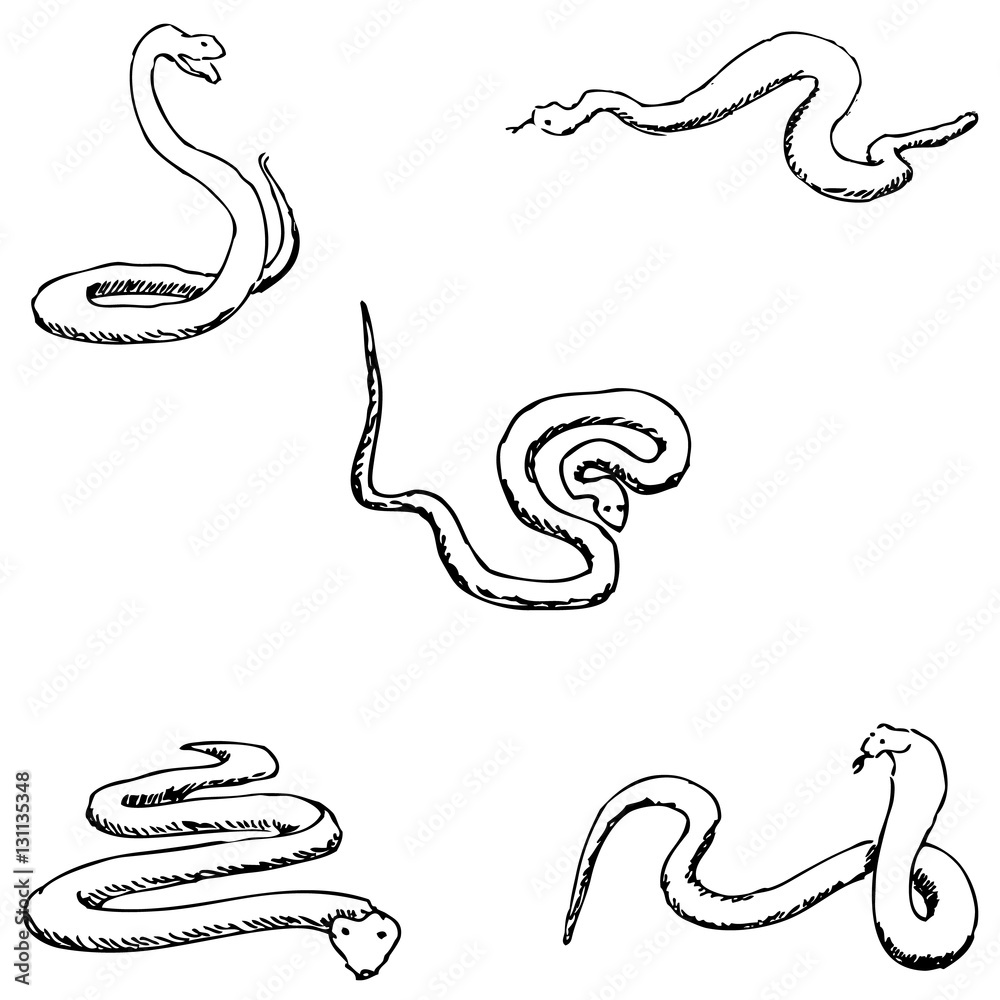 Snakes. A sketch by hand. Pencil drawing Stock Vector | Adobe Stock