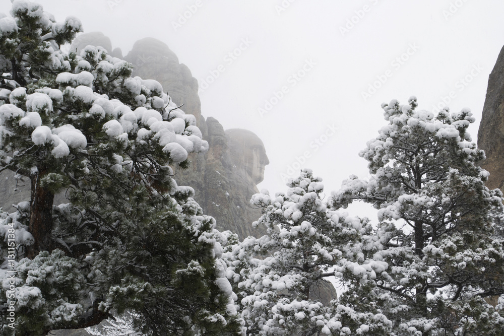George Washington Profile In Snow, as seen in the landscape of Mount ...