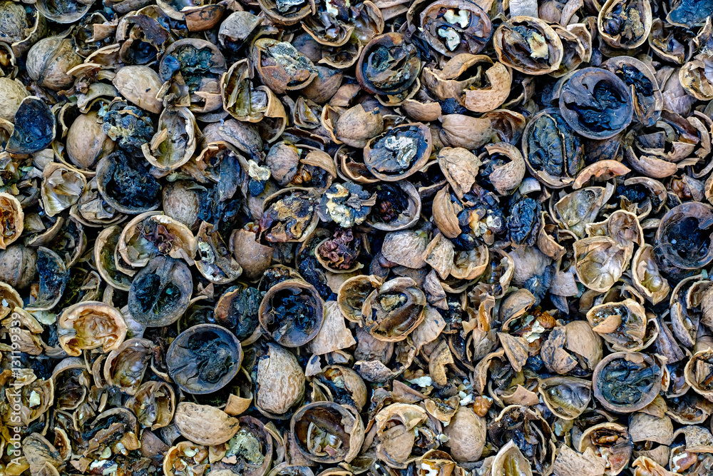 Cracked rotten nuts infected with mold, top view. Stock Photo | Adobe Stock