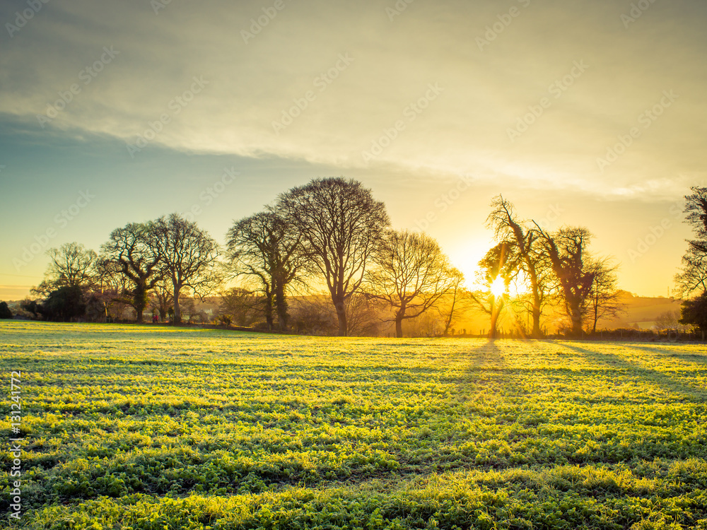 Countryside winter morning sunrise,Northern Ireland Stock Photo | Adobe ...