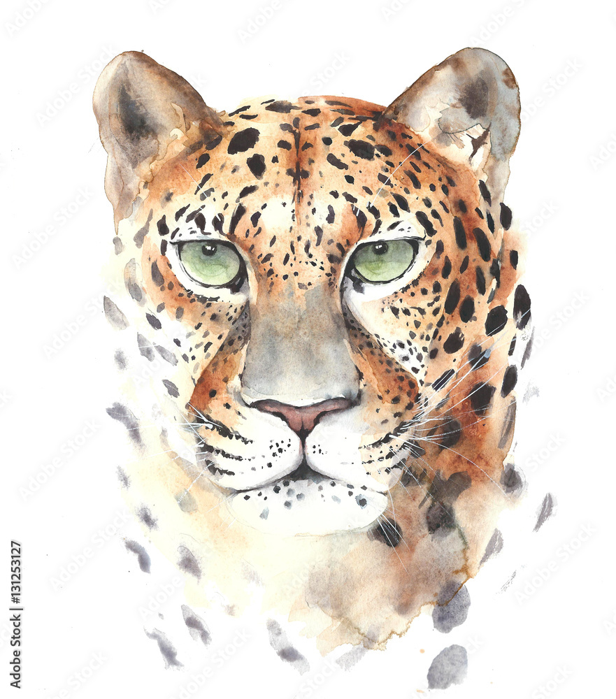 Leopard big cat head portrait watercolor painting illustration isolated ...