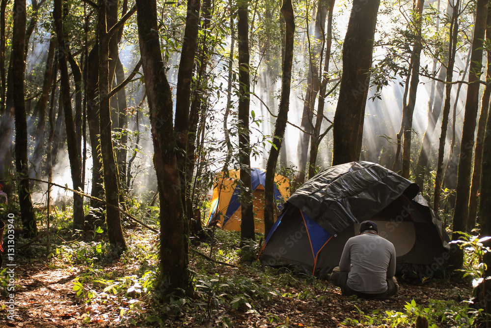 Camping tent in a wooded campsite among trees with light flare effect ...