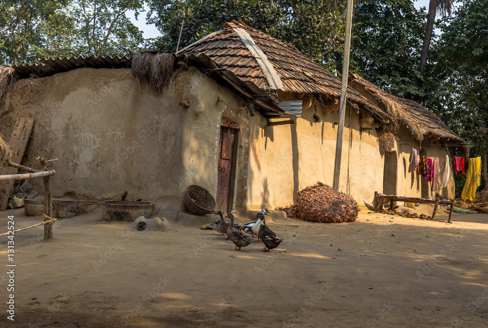 Indian rural village with mud houses and ducks in the courtyard ...