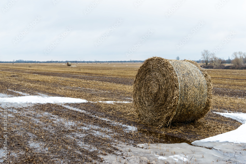 The straw left on the field after the grain harvest, the formation of ...