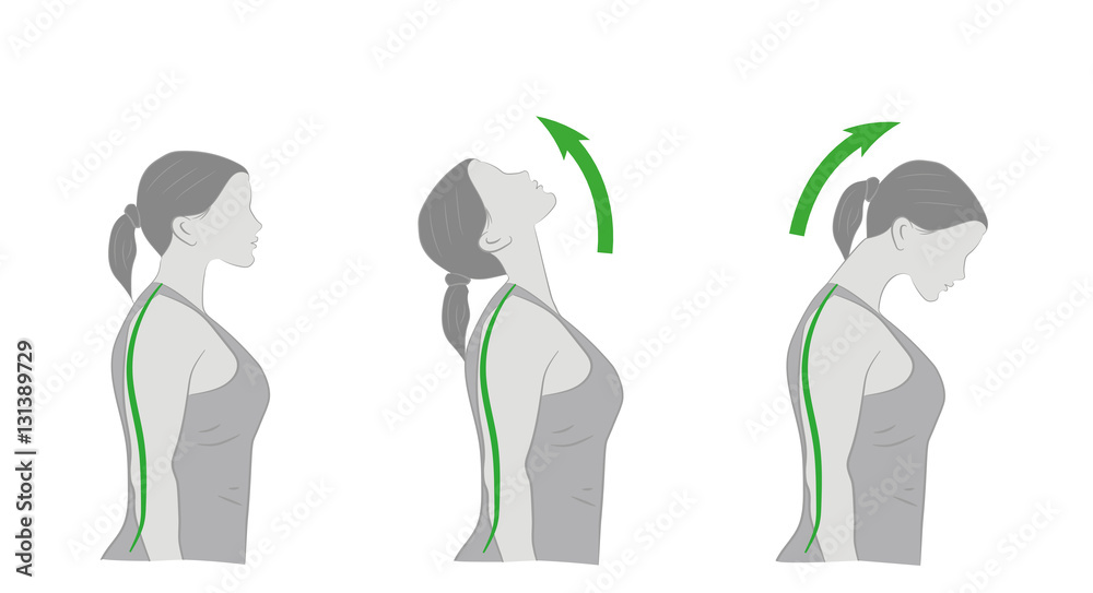 exercises for the neck and head. vector illustration. Stock Vector ...