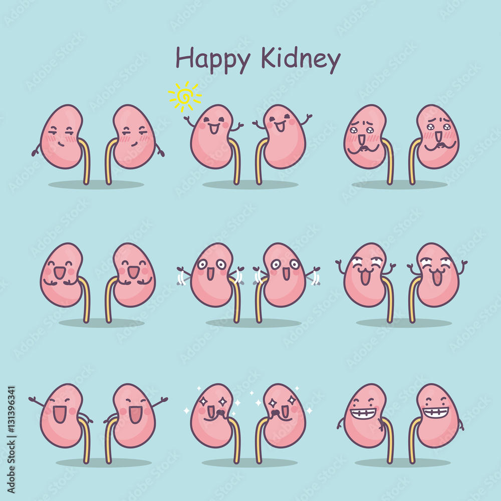 happy cartoon kidney Stock Vector | Adobe Stock