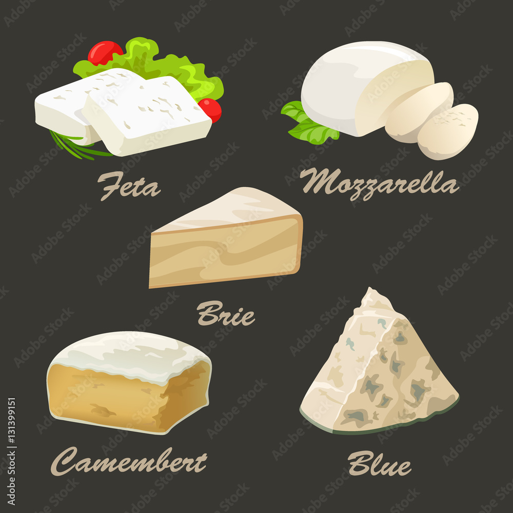 Set of different kinds of white cheese. Realistic vector illustration ...