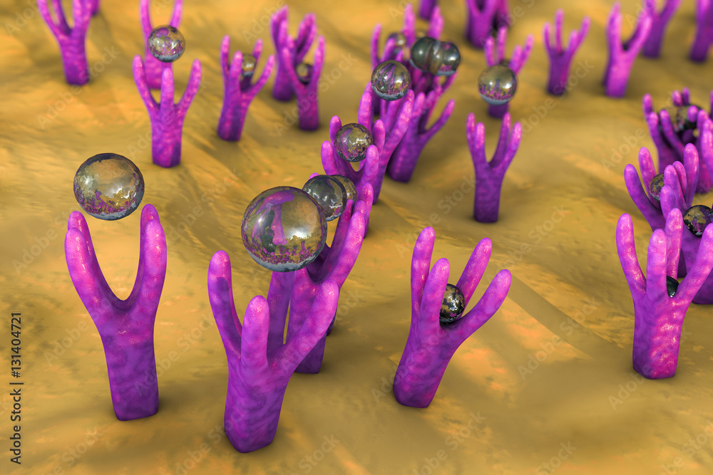 Stockillustratie Cellular membrane with receptors and molecules coming ...