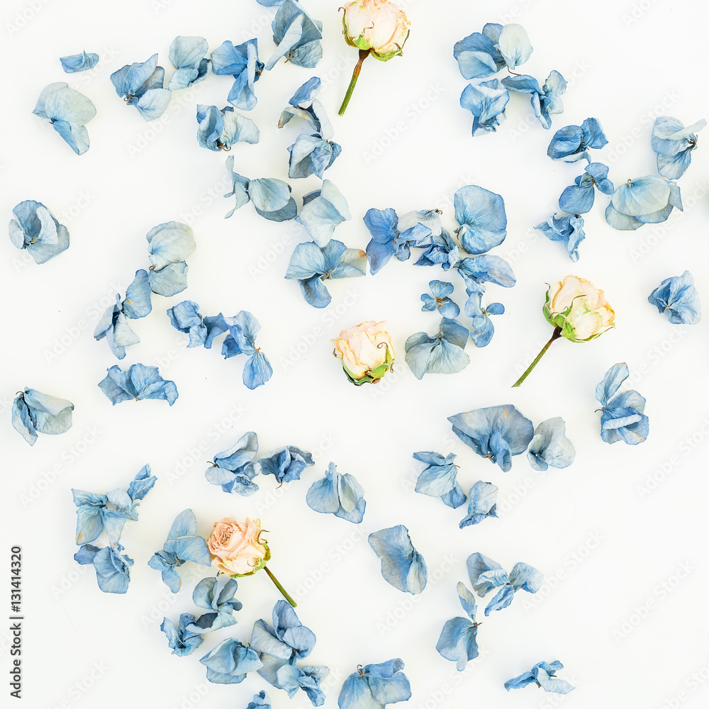 Blue flowers and roses isolated on white background, Flat lay, Top view ...