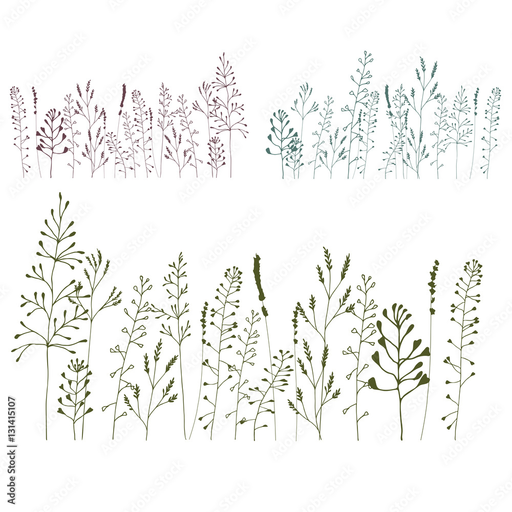 Floral background with meadow grasses, herbs and flowers outline Stock ...