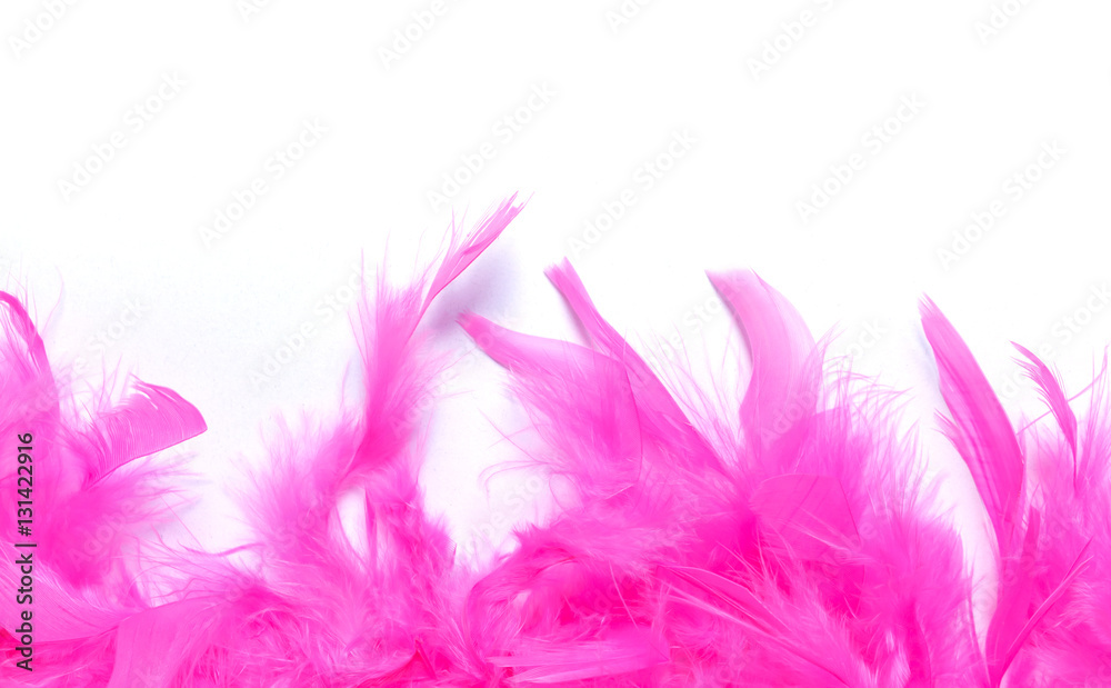 pink feather border Stock Photo | Adobe Stock