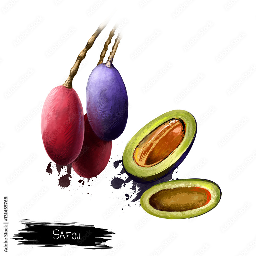 Safou fruit isolated on white. Dacryodes edulis is fruit tree native to ...