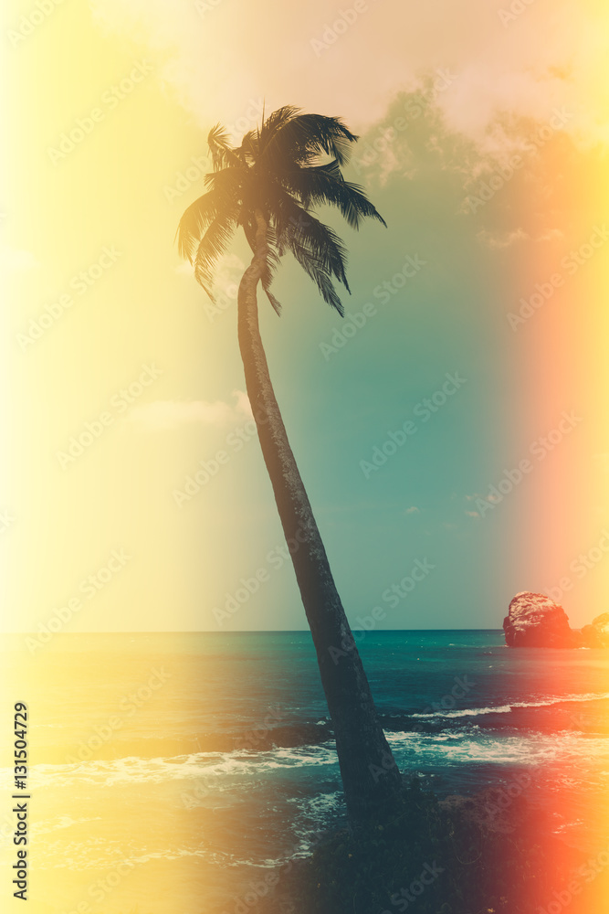 Palm trees on tropical ocean beach, retro color stylized with red and ...