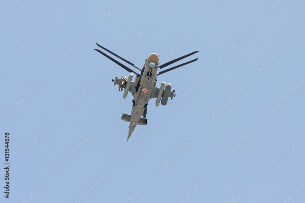 Kamov Ka-52 Alligator (Hokum B) single-seat attack helicopter with ...