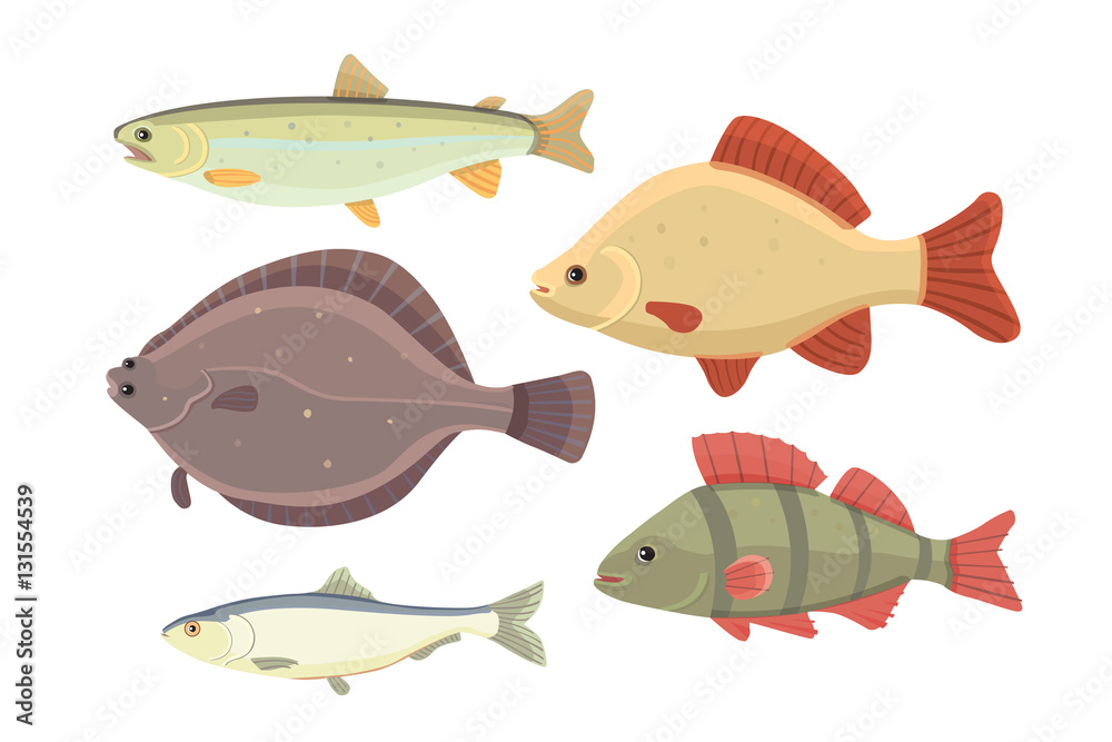 Isolated river fish. Set of freshwater sea cartoon fishes. Fauna ocean ...