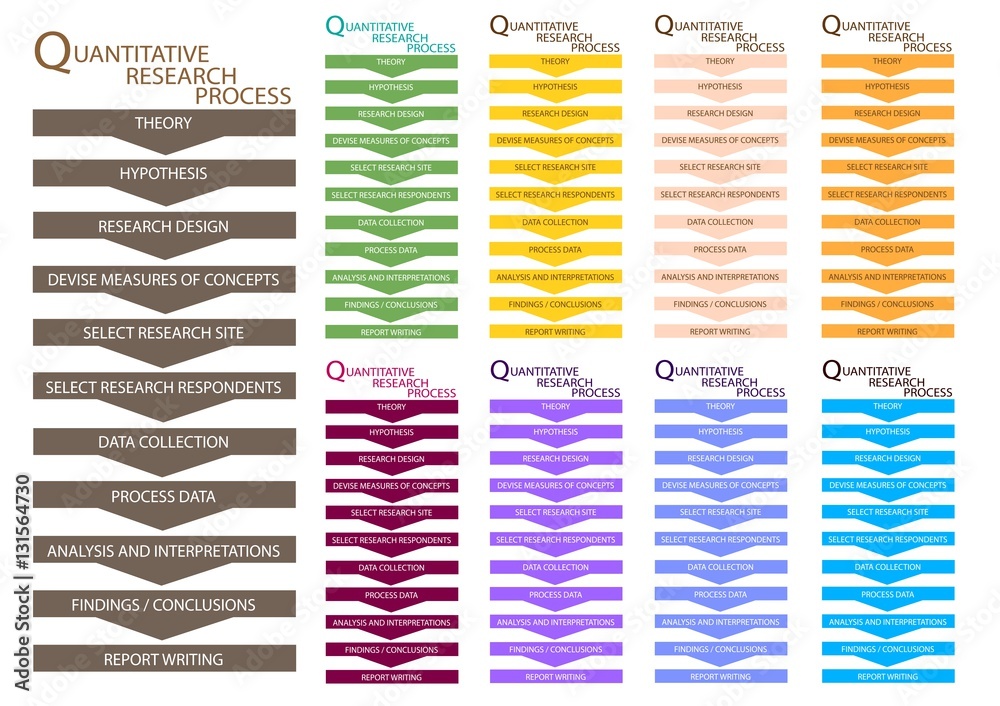 11 Step of Qualitative Research Process Stock Vector | Adobe Stock