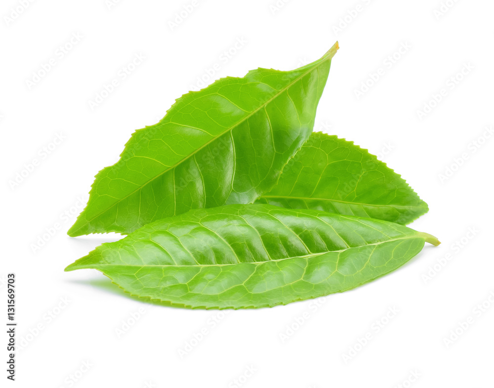 green tea leaf isolated on white background Stock Photo | Adobe Stock