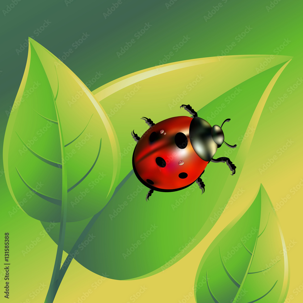 ladybug vector red illustration colored beetle insect Stock Vector ...