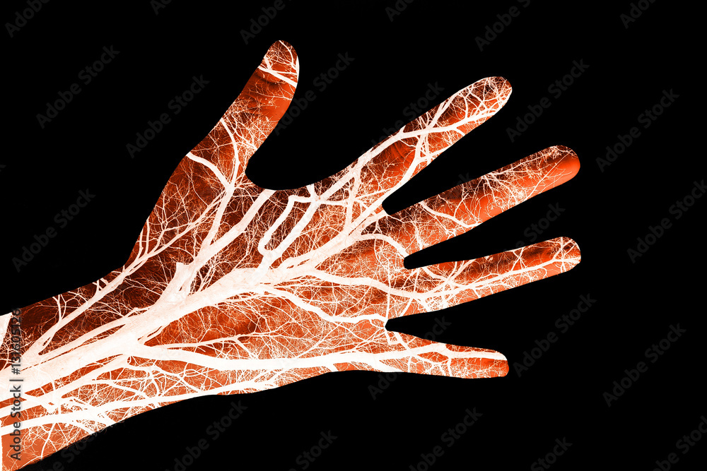 Hand with veins and arteries in evidence isolated in black background ...