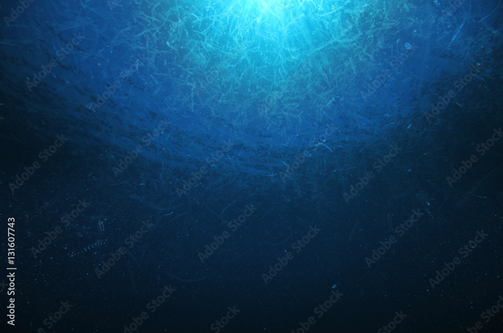 Dense ocean plankton near sea surface during early summer bloom. Stock ...