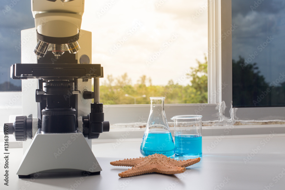 Microscope with examples of animals, lab glassware, science laboratory ...