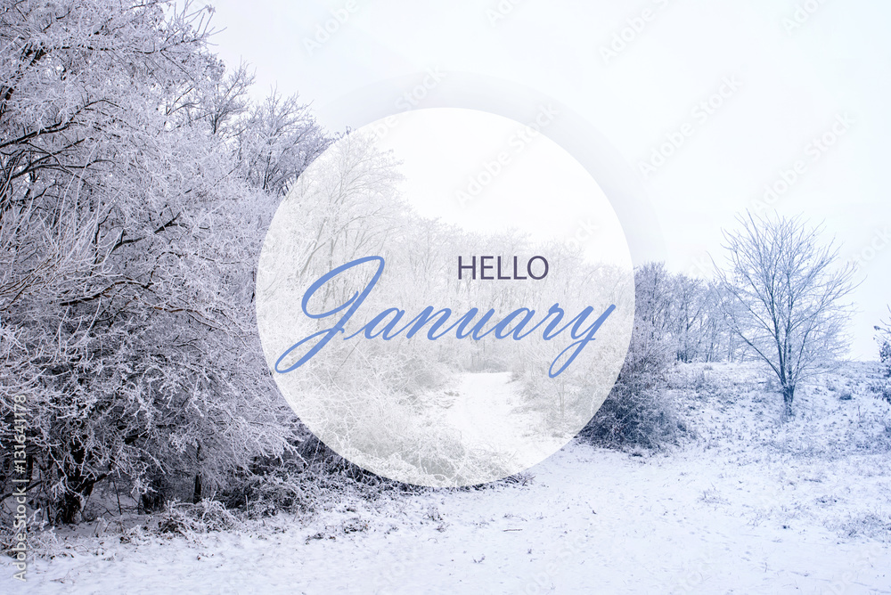 Hello January wallpaper, winter landscape with frozen, snowy forest ...