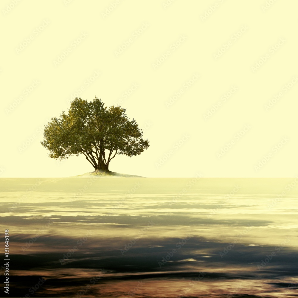 Vintage empty landscape with single olive tree. Stock Photo | Adobe Stock