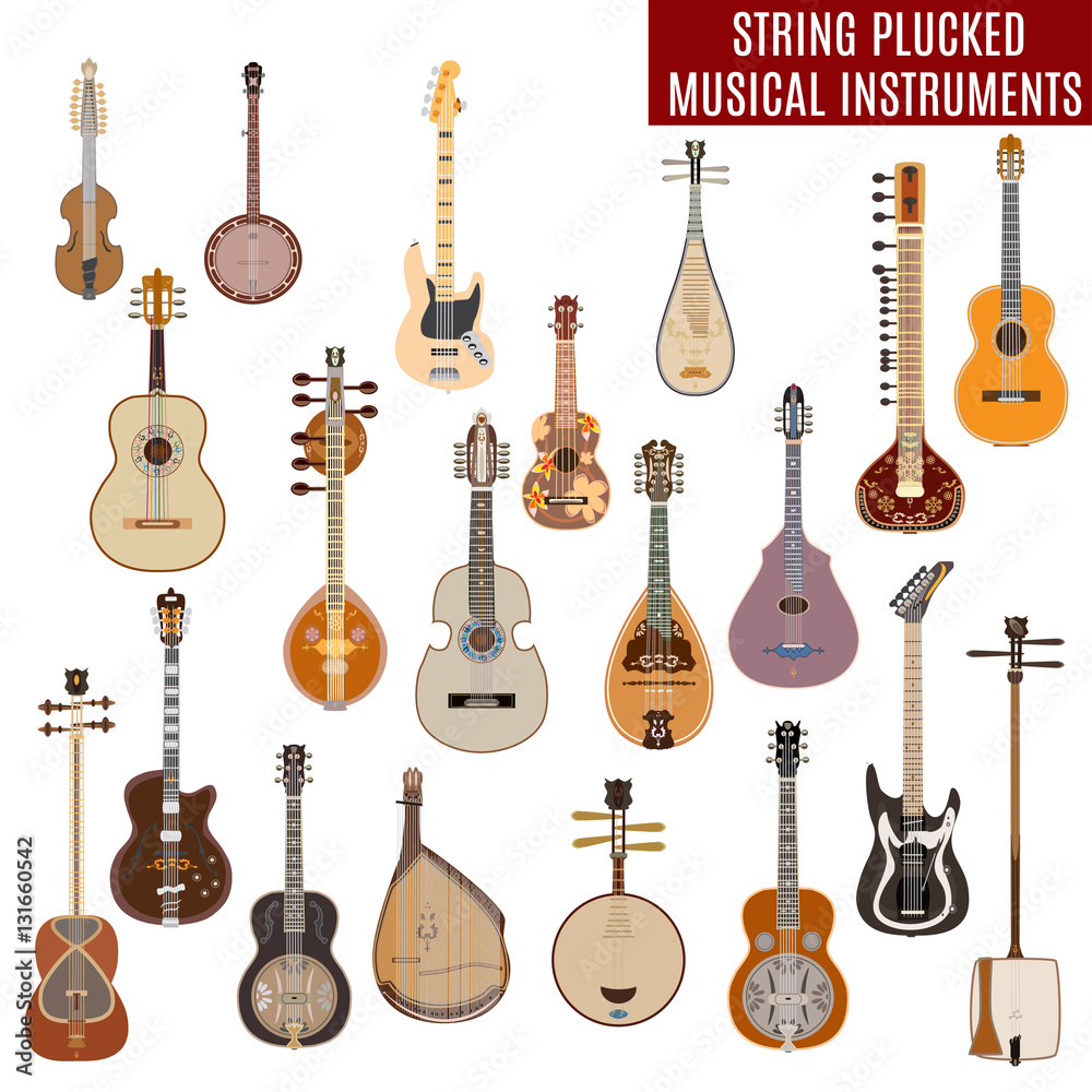 Vector set of string plucked musical instruments isolated on white ...