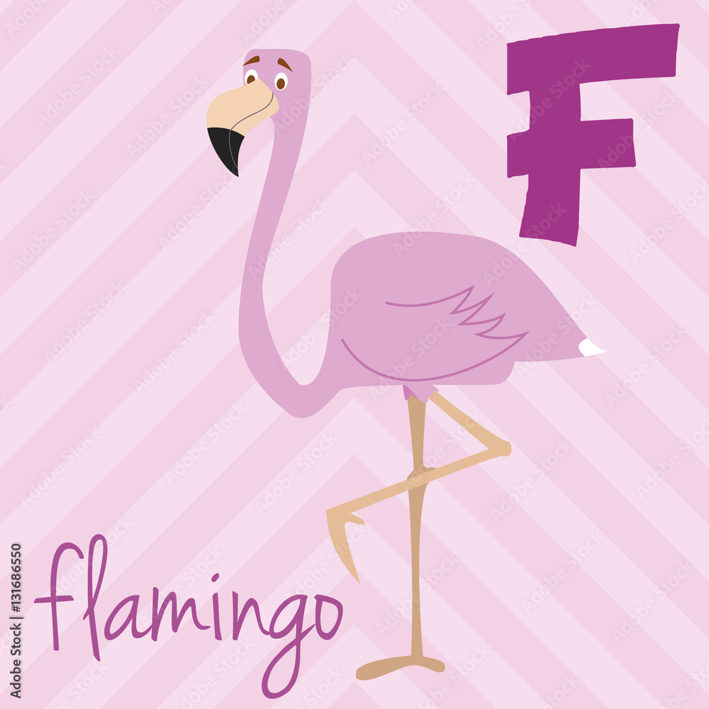 Cute cartoon zoo illustrated alphabet with funny animals: F for Flamingo. English alphabet ...