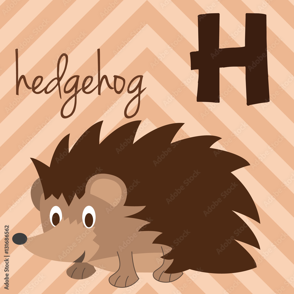 Cute cartoon zoo illustrated alphabet with funny animals: H for ...