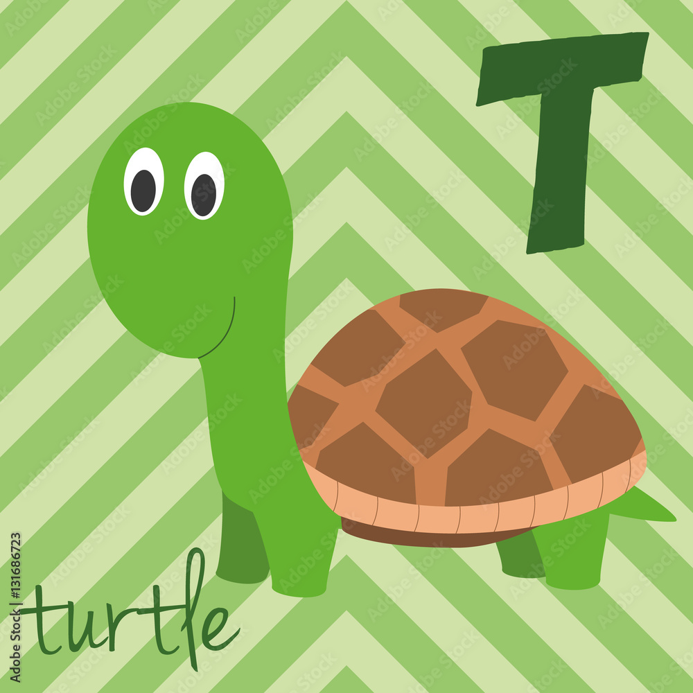 Cute cartoon zoo illustrated alphabet with funny animals: T for Turtle ...