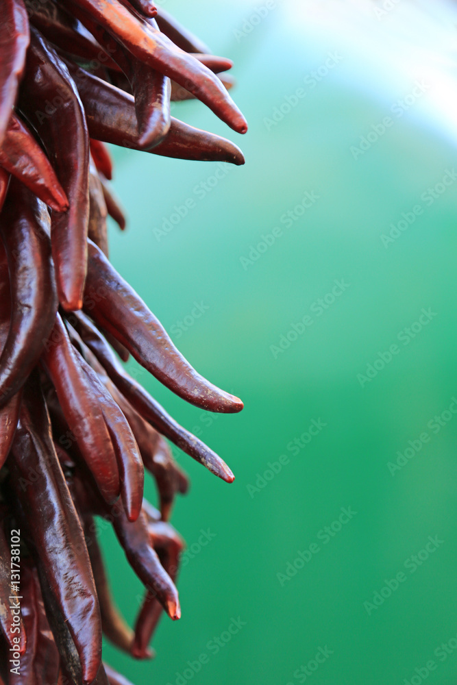 guindillas secas colgando sobre fondo verde 84A0882-f16 Stock Photo ...