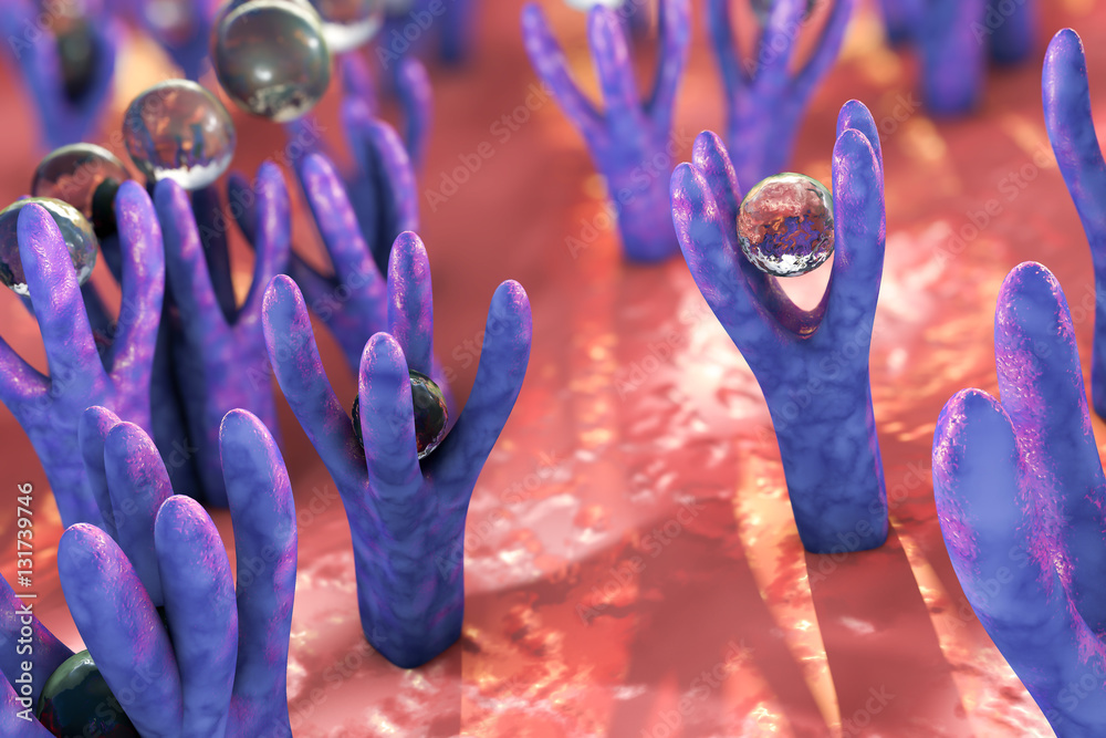 Cellular membrane with receptors and molecules coming to receptors, 3D ...