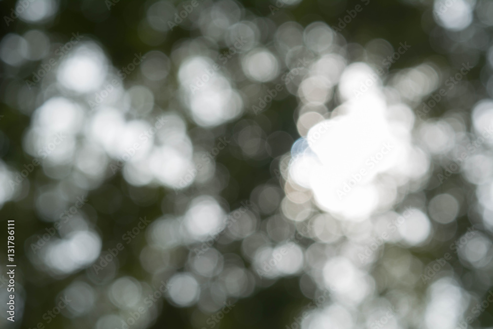 Bogey Images Background From Tree Stock Photo | Adobe Stock