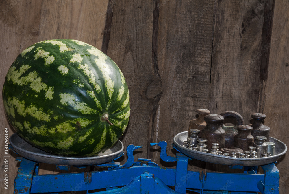 Watermelon green to weigh on the old scale, ripe watermelon, food for ...